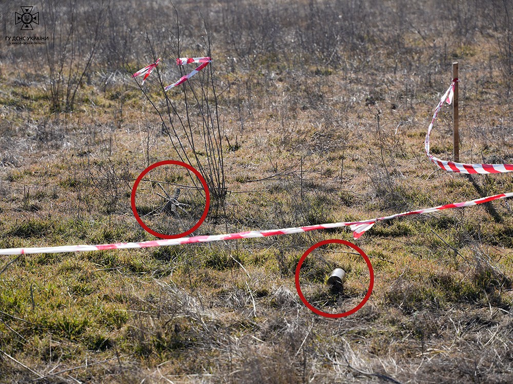 Розмінування сільгоспземель: обстежено вже понад 160 тис. гектарів – borg.expert – медіа-портал ...