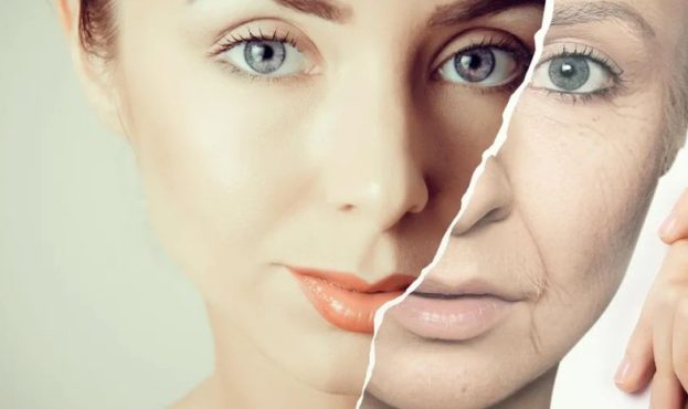 Названо топ-5 продуктів, які уповільнюють старіння – borg.expert – медіа-портал про борги та ...