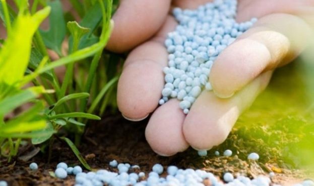 Фермери в ЄС обурюються через нові тарифи на російські добрива – borg.expert – медіа-портал про ...