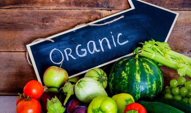 24 українські компанії презентували органічну продукцію в Німеччині – borg.expert – медіа-портал ...